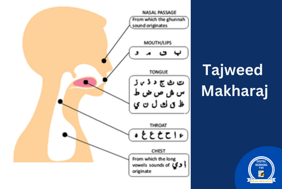 Basic Tajweed Rules Of The Quran Learn Tajweed Fast And Easy